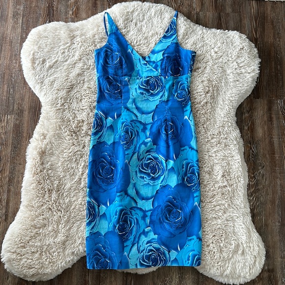 City Triangles | Dresses | Vintage City Triangles Blue Rose Bodycon ...